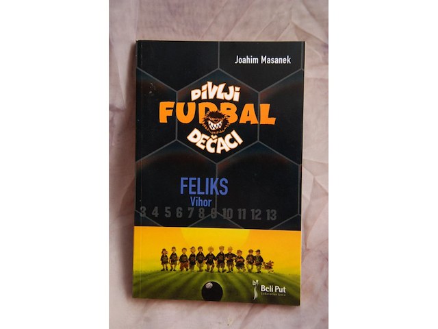 Roman o fudbalu - Divlji decaci - Feliks Vihor