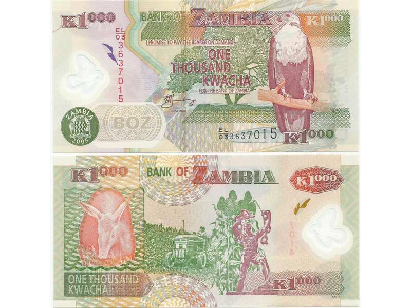 Zambia 1000 kwacha 2008. UNC Polimer