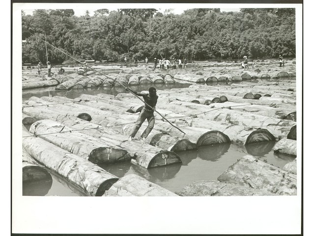 AFRIKA GABON 3 PRES FOTOGRAFIJE