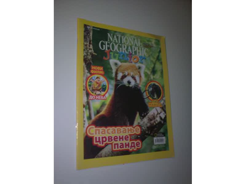 NATIONAL GEOGRAPHIC JUNIOR BROJ 51