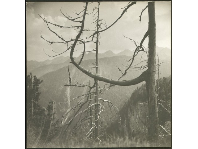 arkadije stolipin slovenija NAD BOHINJEM oko 1939