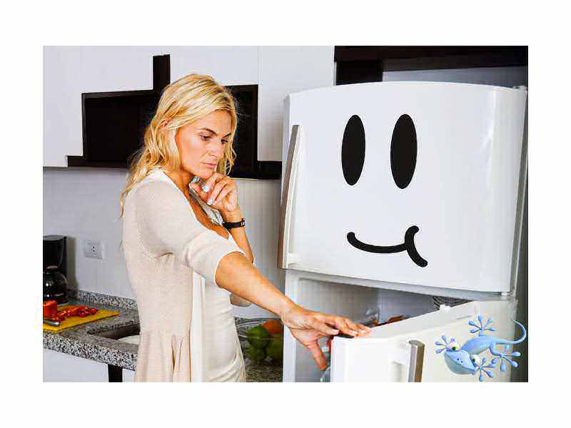 Geco-art nalepnica Fridge-face