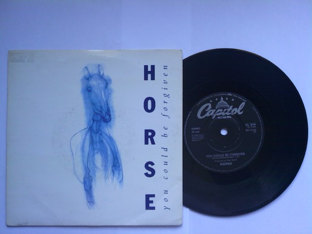 Horse (3) - You Could Be Forgiven