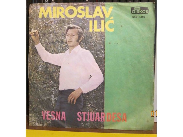 Miroslav Ilić - Vesna Stjuardesa