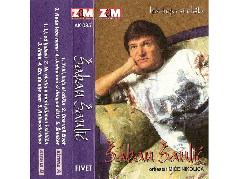 Šaban Šaulić - Tebi Koja Si Otišla