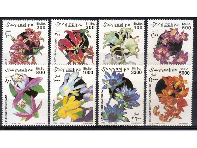 Somalija,Flora 2002.,čisto