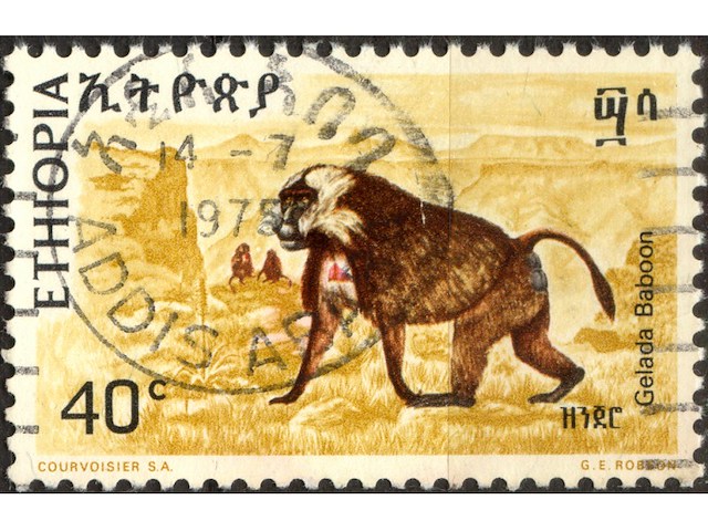 kt786f   27. maj.1975.  Ethiopia Mi820(-o-)1/5