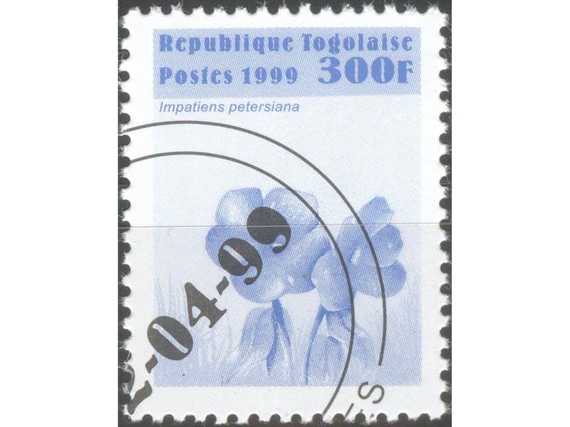 kt476l,  29. mart.1999. RTogolaise Mi2838(-o-)  1/12