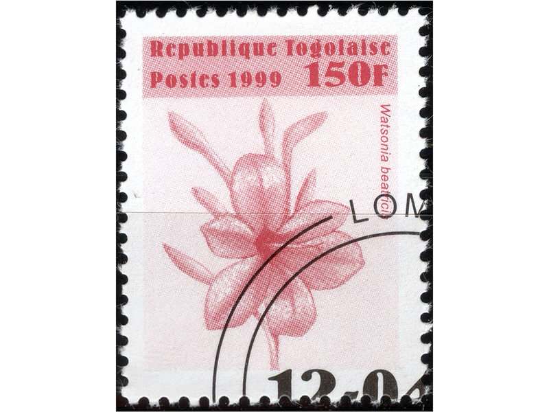 kt476i,  29. mart.1999. RTogolaise Mi2835(-o-)  1/12