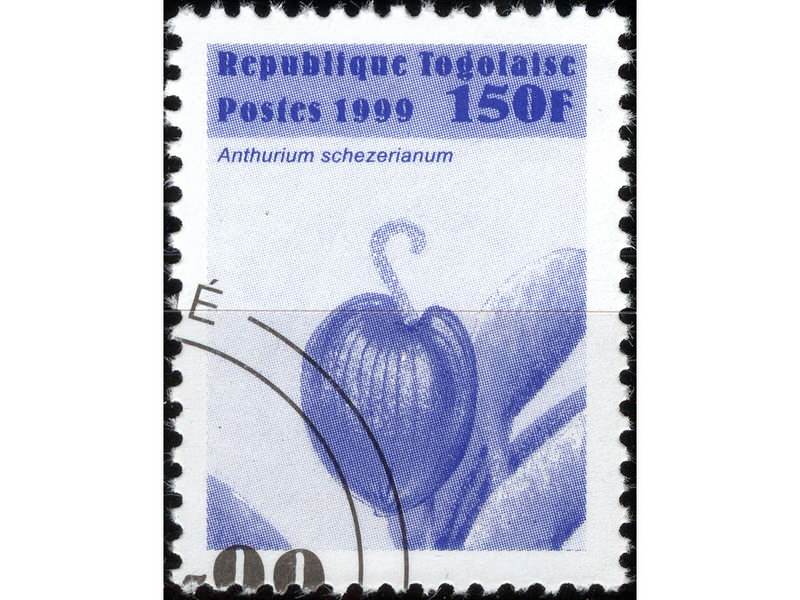 kt476j,  29. mart.1999. RTogolaise Mi2834(-o-)  1/12