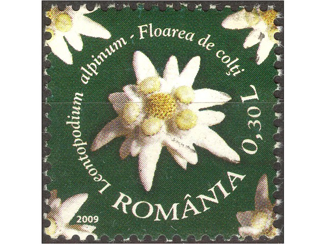 kt589e,  28. mart.2009. Romania Mi6350 (-o-) 1/6