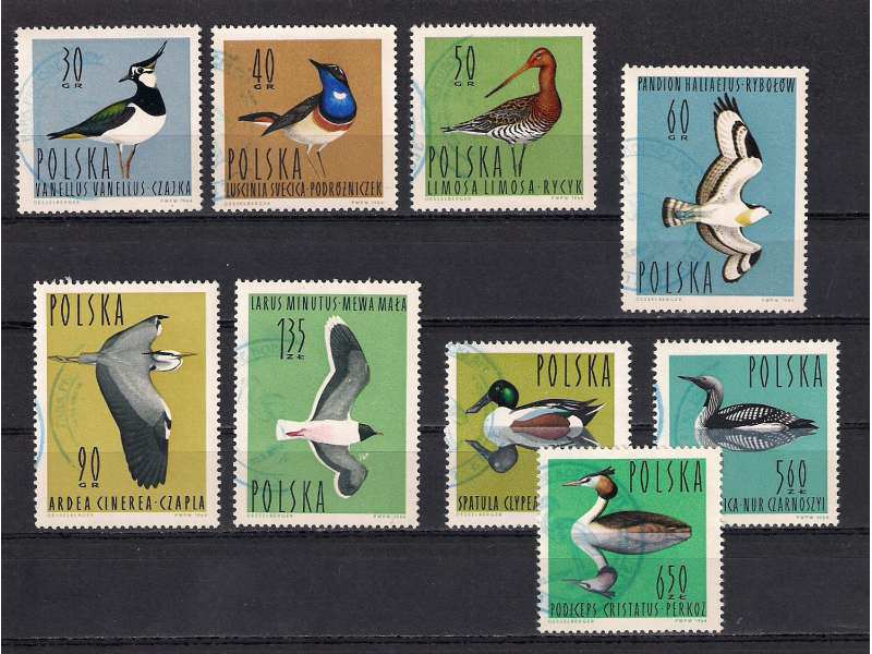 Poljska 1964. Ptice