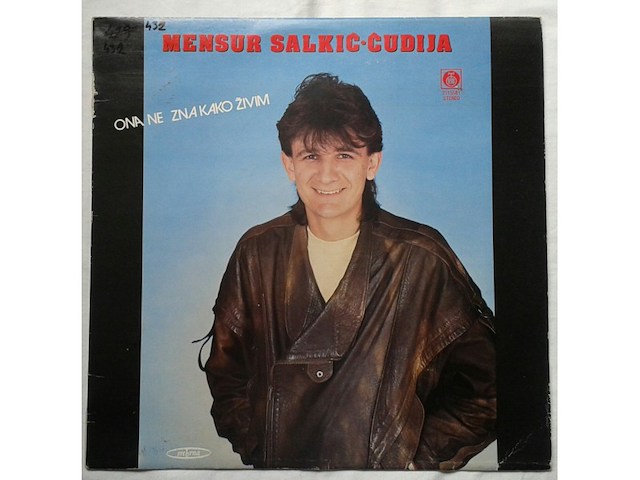 Mensur  Salkic  Cudija   -   Ona Ne Zna Kako Zivim