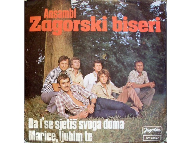 Ansmbl Zagorski biseri - Da l` se sjetiš... (singl)