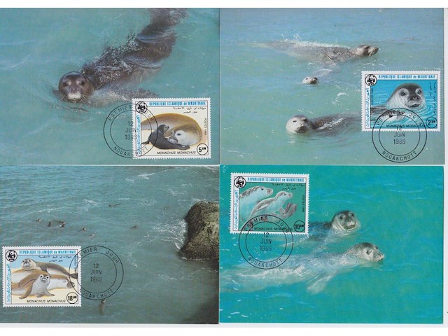 317. Mauritanija, 1986, Fauna - Foke, CM