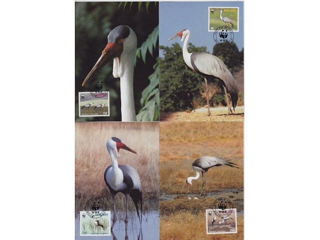 298. Malavi, 1987, Fauna - Ptice, CM