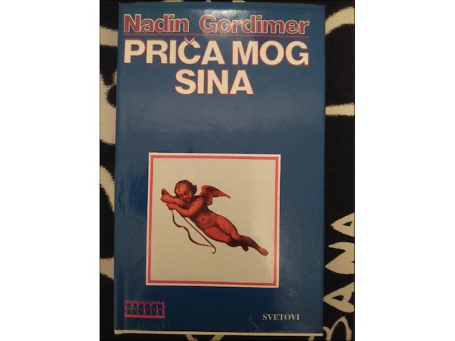 Nadin Gordimer  -  Prica mog sina