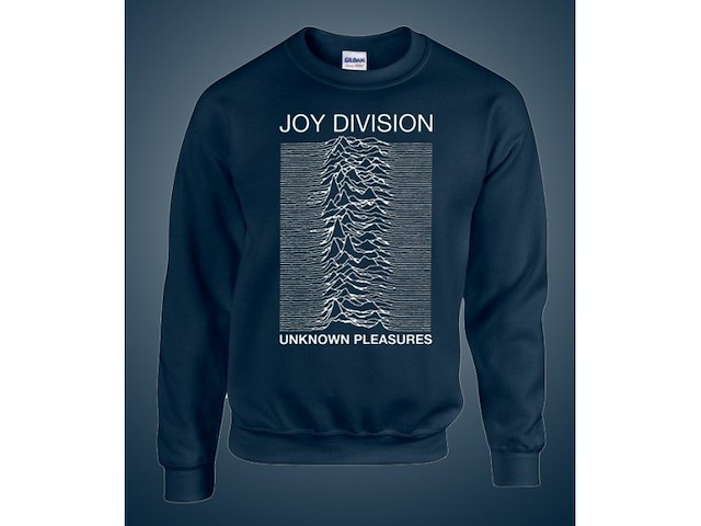Duks Joy division