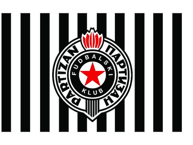 partizan tapeta za celu sobu