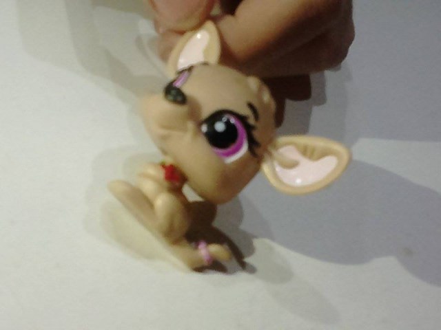 littlest pet shop toys KENGUR