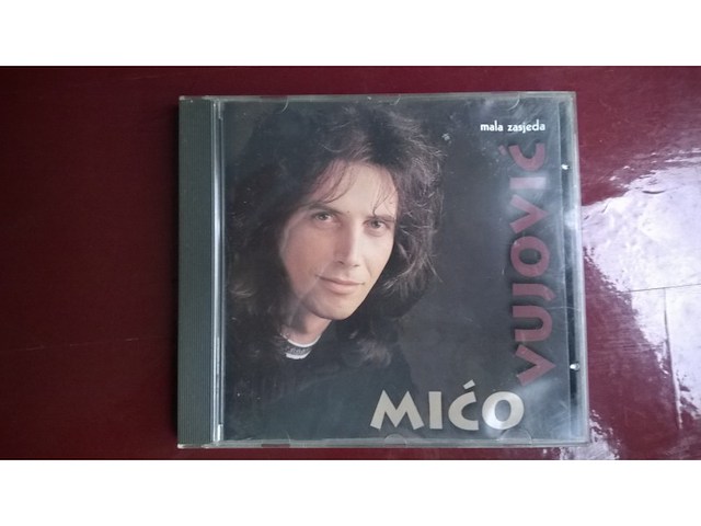 Mićo Vujović - Mala zasjeda