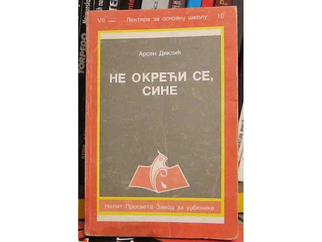 Arsen Diklić - NE OKREĆI SE, SINE