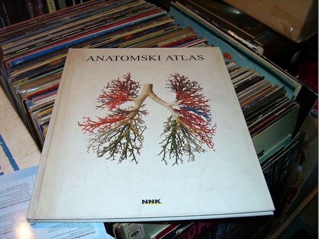 Anatomski Atlas