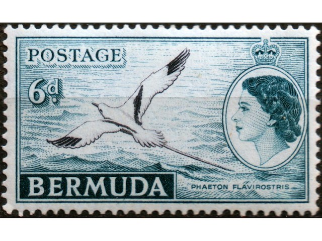 kt083v,  09. nov.1953. Bermuda Mi138 ** 1/18